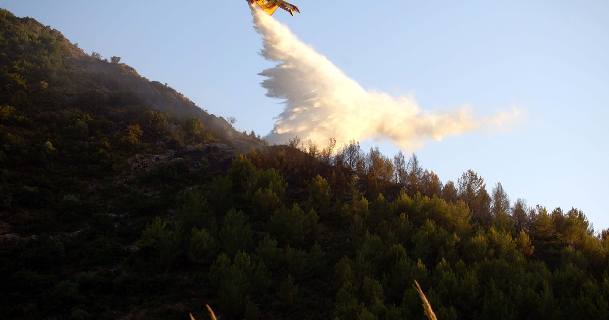 Πτώση Canadair: «Το είδα να περνάει δίπλα μου και μετά άκουσα το μπαμ»