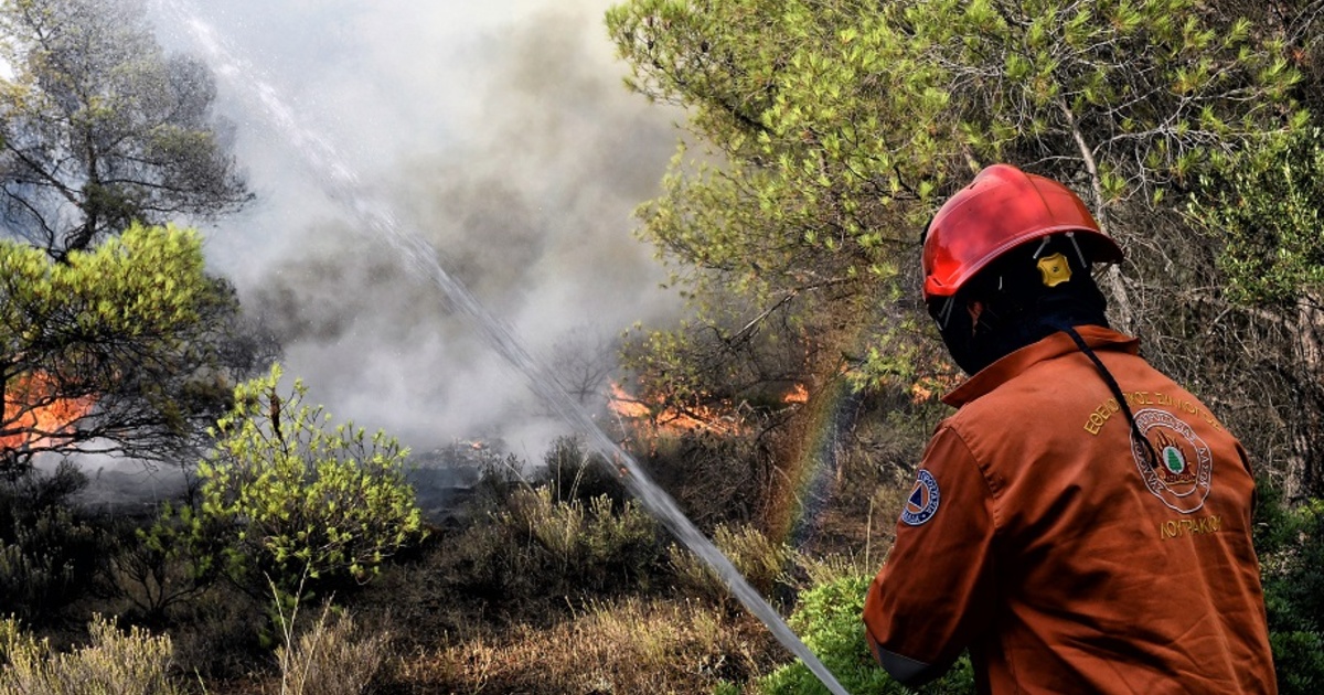 Φωτιά τώρα στο Τατόι - Νέος συναγερμός στην Πυροσβεστική