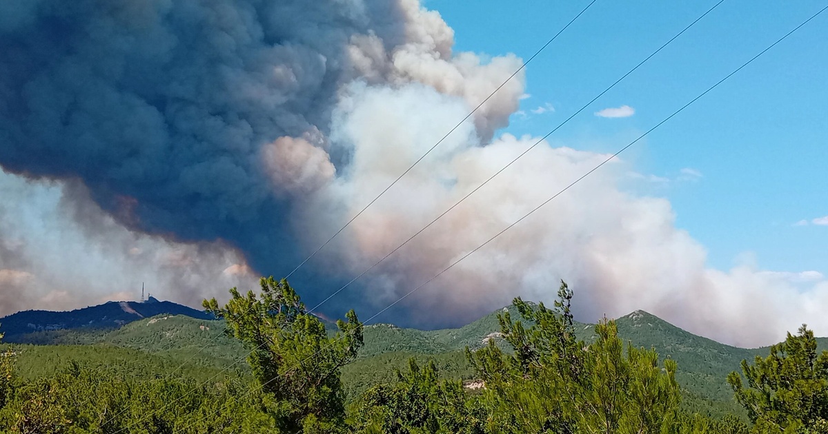 Ανεξέλεγκτη η φωτιά στη Δαδιά - Ξεκίνησε από τον πυρήνα άκαυτου δάσους