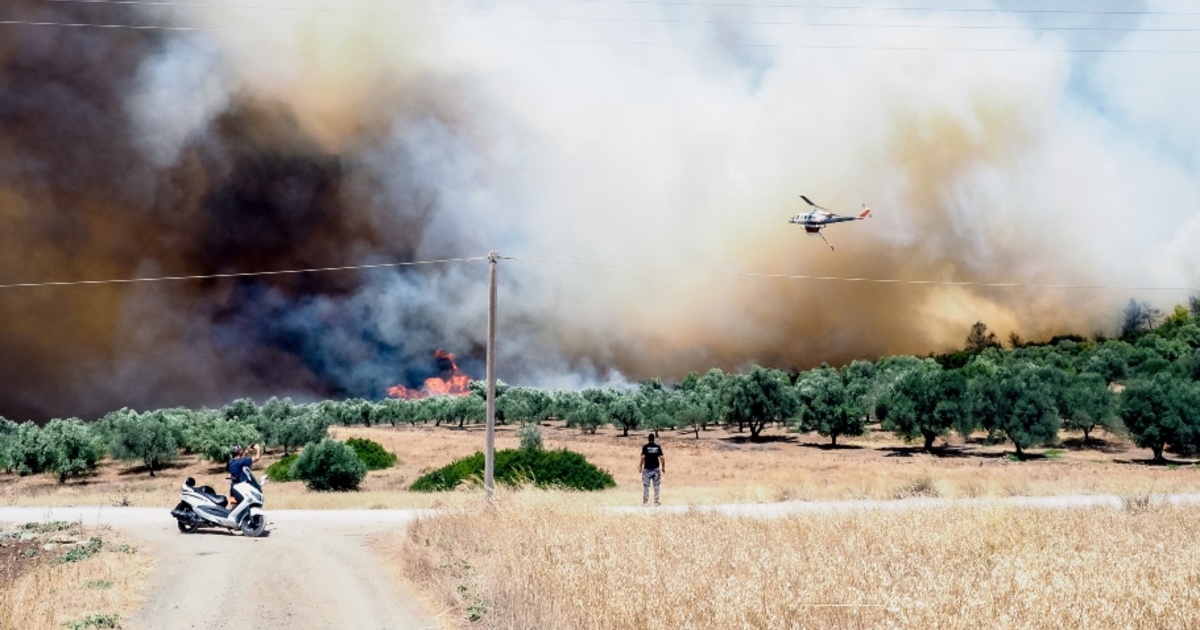 Φωτιά τώρα στην Εύβοια: Μεγάλο το μέτωπο - Εκκενώνονται Νέα Αρτάκη και ...