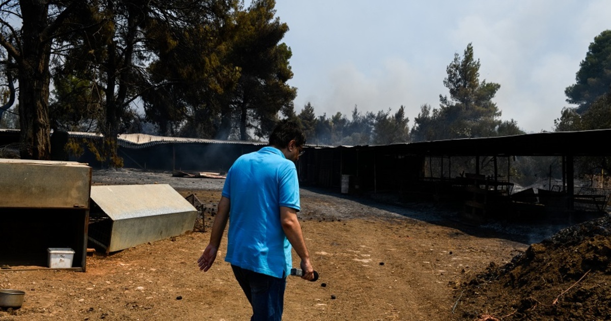 Ιωάννινα: Έκρηξη σε πτηνοτροφείο - Τραυματίστηκε σοβαρά ένας 40χρονος