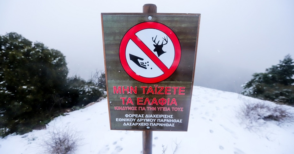 Καιρός: Ξεκινάει από τα βόρεια ο «χειμώνας εξπρές» - Ποια θα είναι η ...