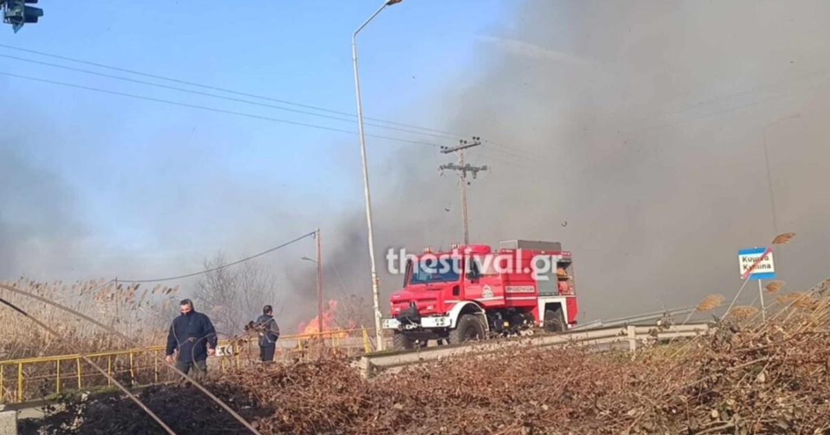 Φωτιά τώρα στην Θεσσαλονίκη: Ισχυροί άνεμοι στην περιοχή έξω από το ...