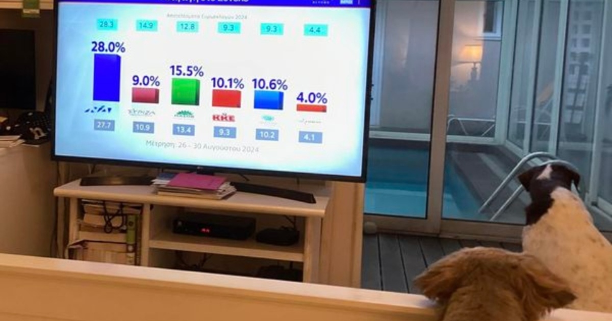 Η ανάρτηση της Ακρίτα για τον 5ο ΣΥΡΙΖΑ και τα σχόλια για την πισίνα ...