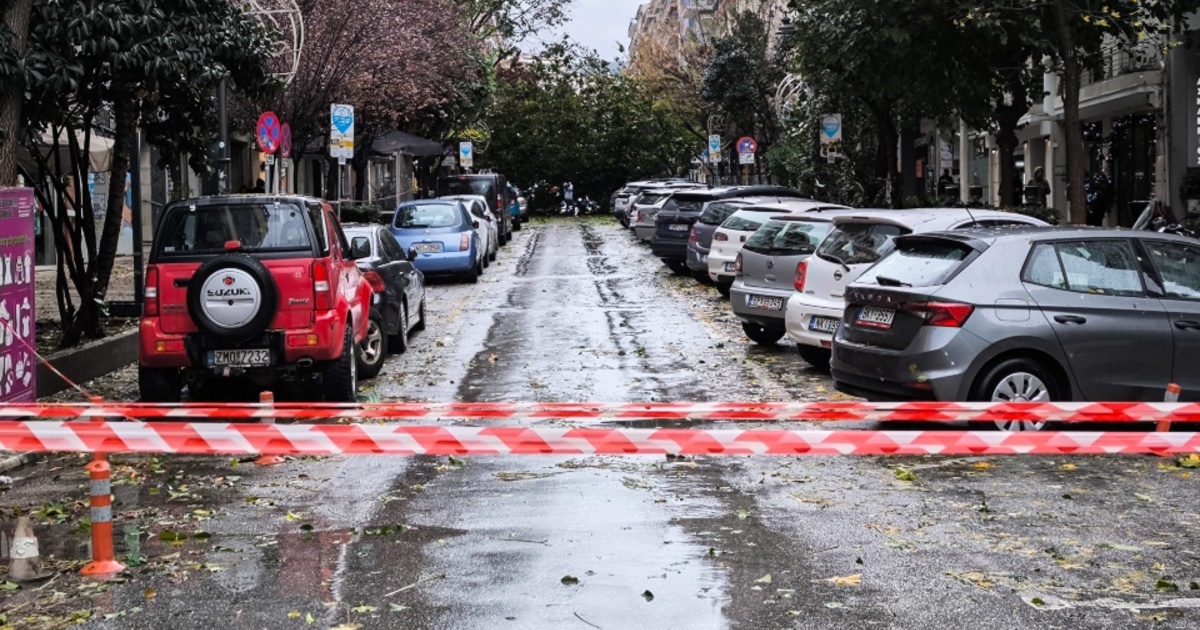 Σαρώνει η κακοκαιρία Bora στη Μακεδονία: Πτώσεις δέντρων ...