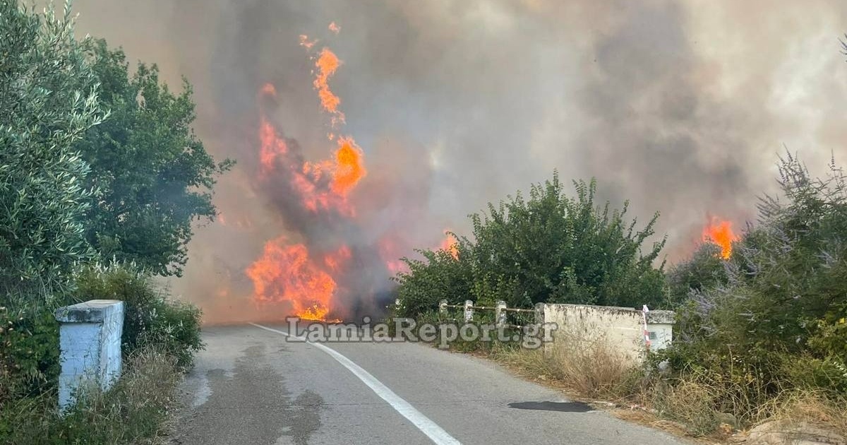 Φωτιά τώρα στο Αχλάδι Φθιώτιδας: Σηκώθηκαν 7 αεροσκάφη και 1 ελικόπτερο