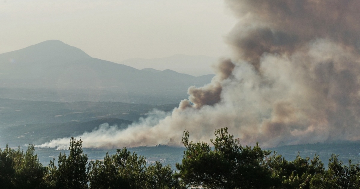 Φωτιά στον Ωρωπό: «Κάηκε ένα μεγάλο μέρος του δάσους στο Ασπροχώρι ...